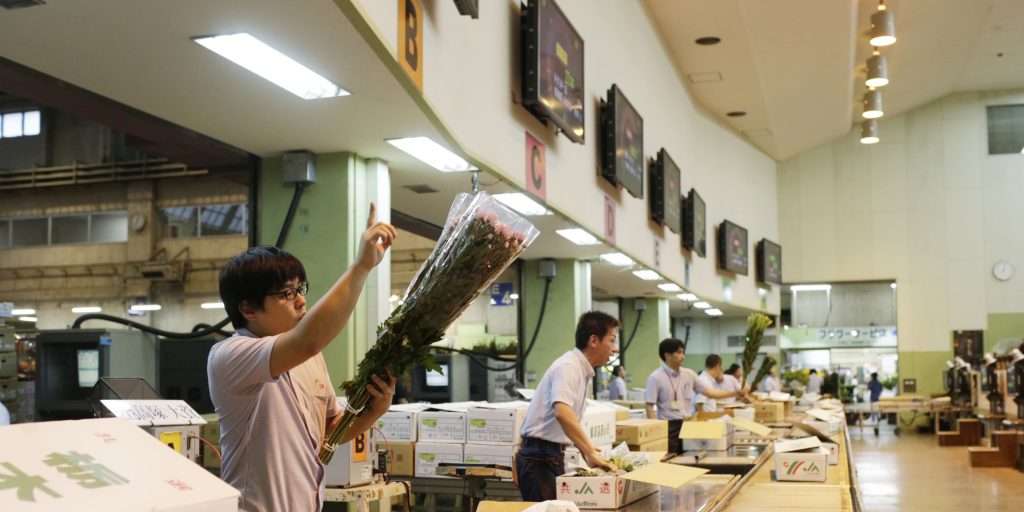 About – OTA Floriculture Auction