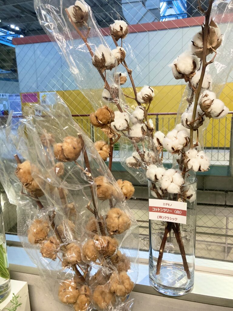 OTA Floriculture Auction – Japanese central wholesale market for ...